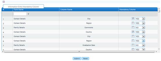 Information Entry Mandatory column